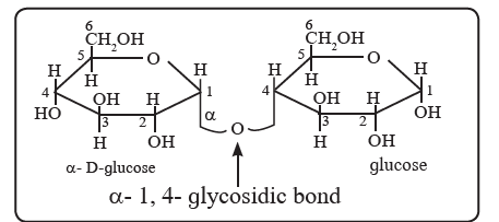 4. Draw a neat diagram for the following:i. Haworth formula of ...